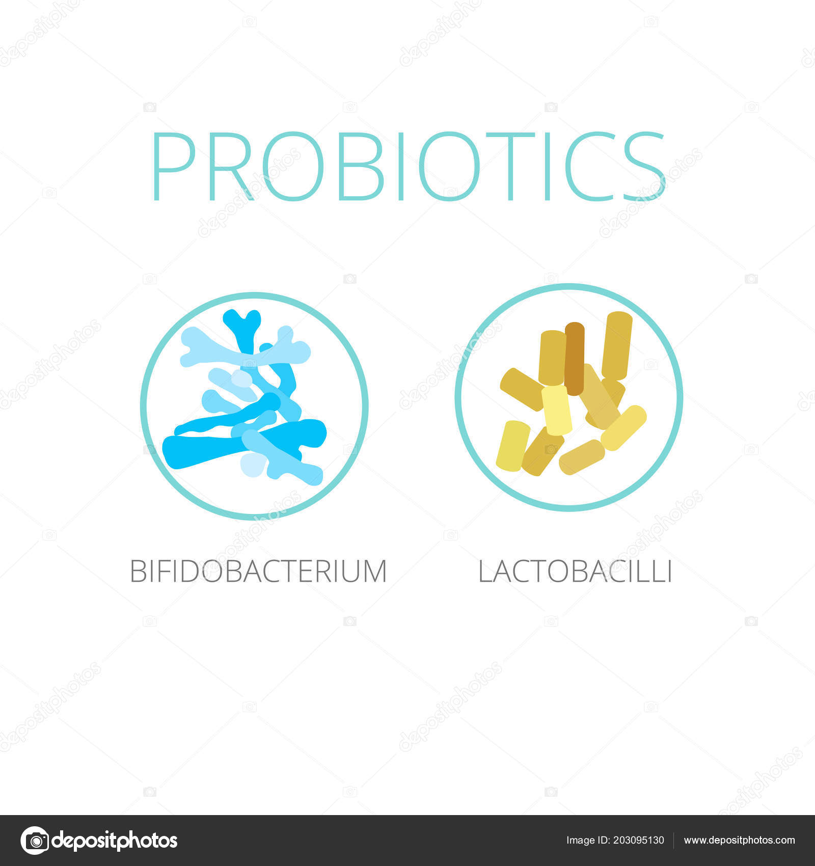 Probiotics Lactobacilli Bifidobacterium Vector Illustration Good
