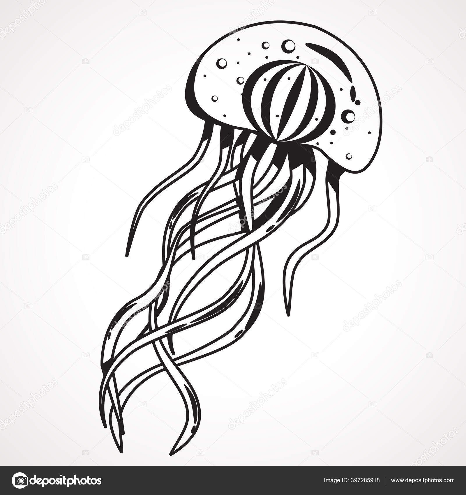 Contorno De Medusa Póster For Sale Con La Obra «Medusa De Contorno»