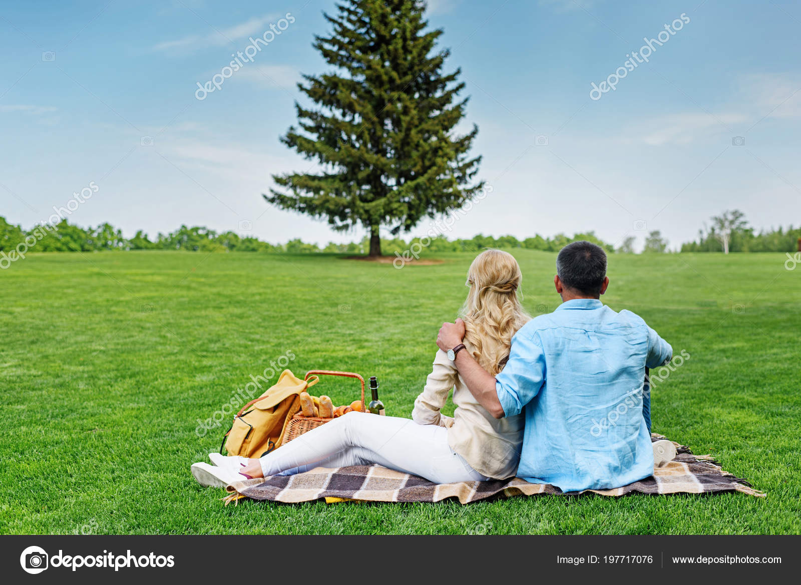 Back View Couple Sitting Together Plaid Picnic — Stock Photo ...