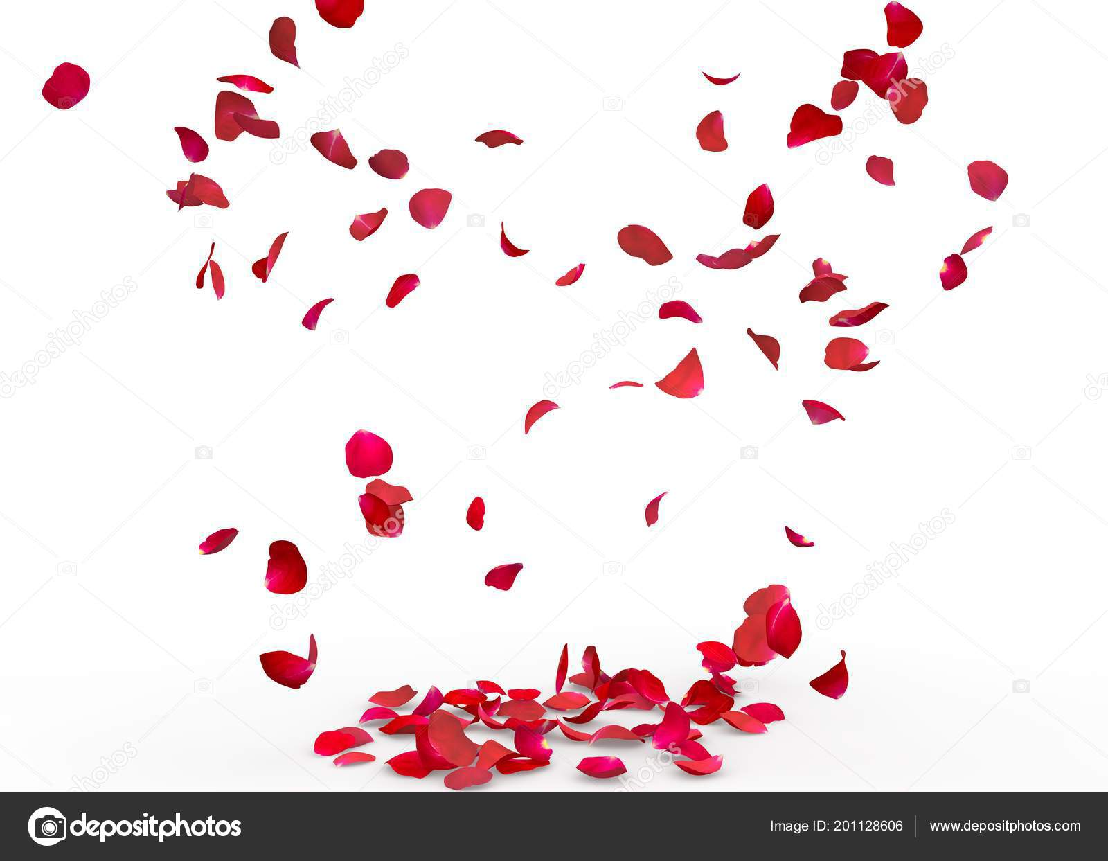 Rose Petals Fall Floor Isolated Background Stock Photo by ©injenerker ...