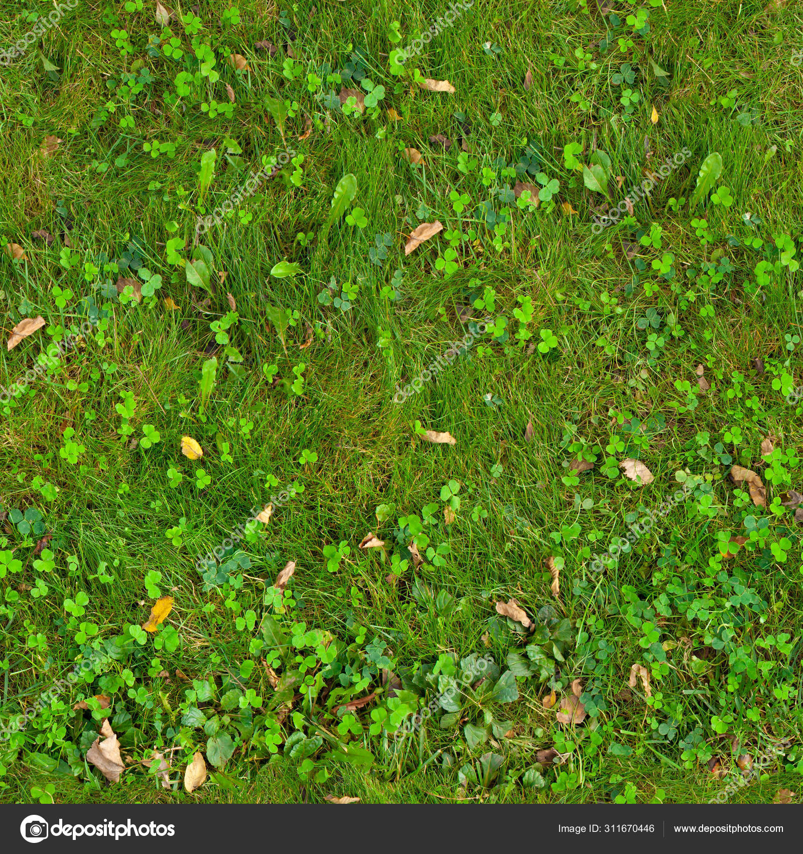 Fall Leaf Texture Seamless