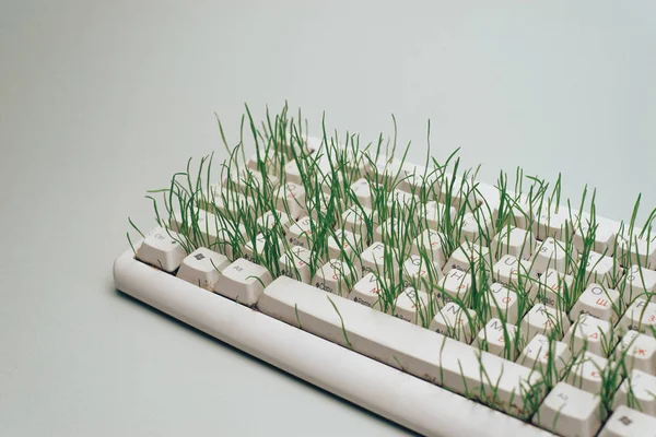 Green written in keyboard keys on grass Stock Photo by ©SSilver 10843411