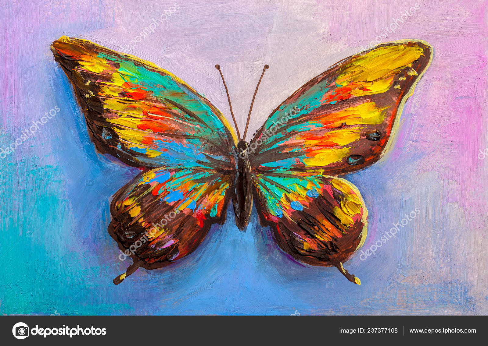 Lukisan Kupu Kupu Indah