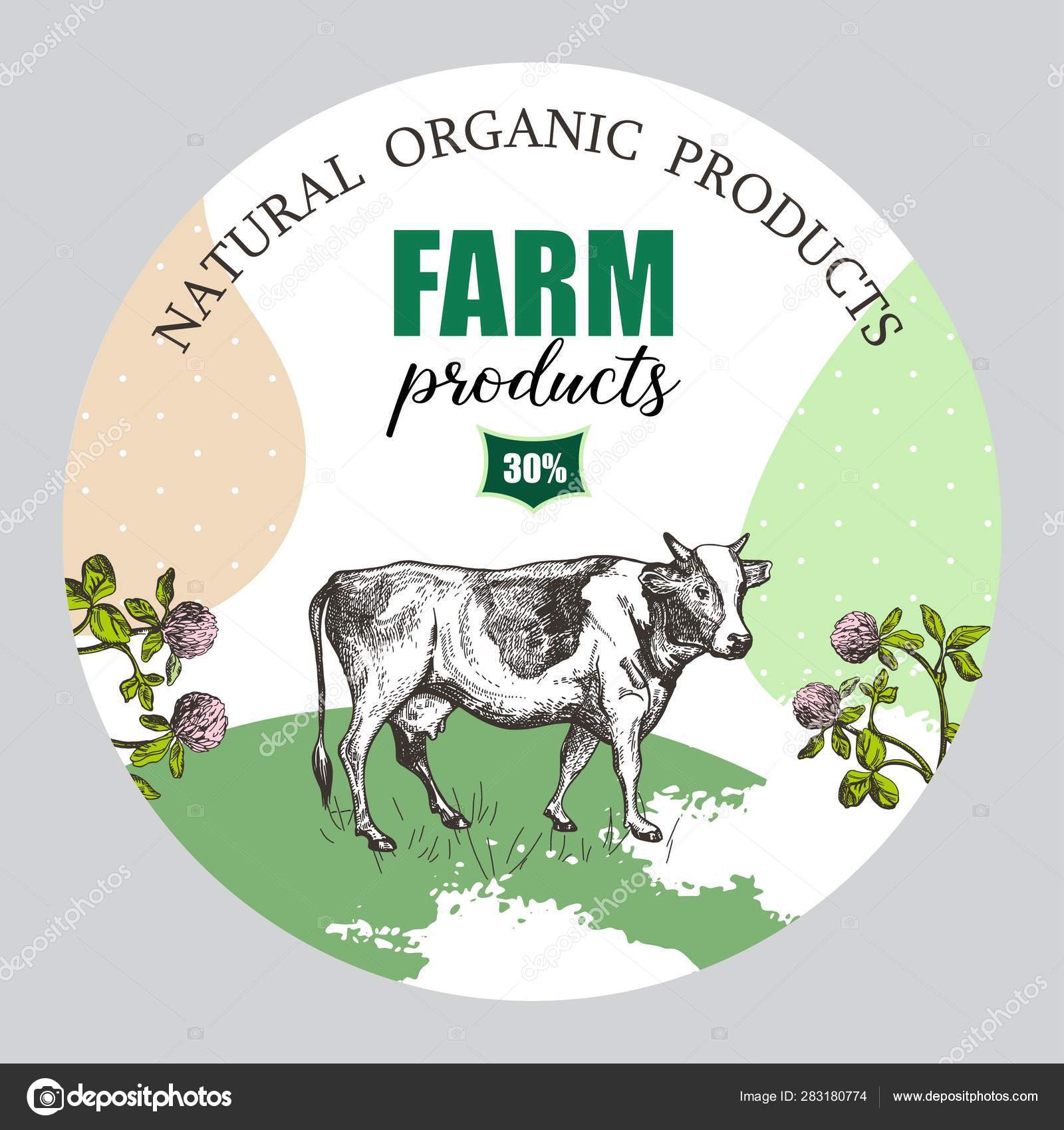 Una vaca pastando en un prado. Fondo redondo para el diseño de ...