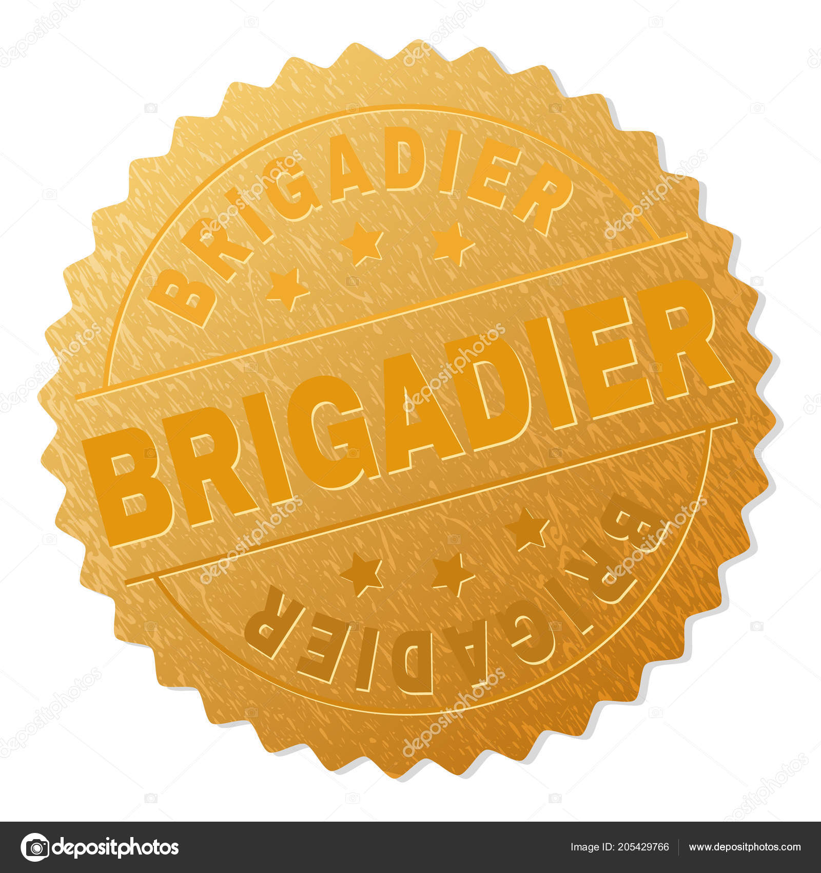 Gold BRIGADIER Badge Stamp Stock Vector Image by ...