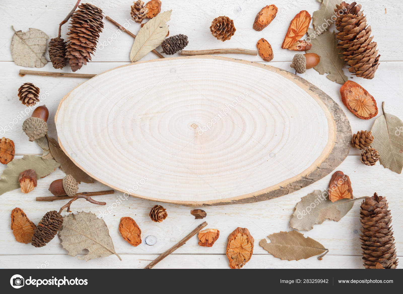 Cross-section of a tree on a wooden background in autumn style . Stock ...