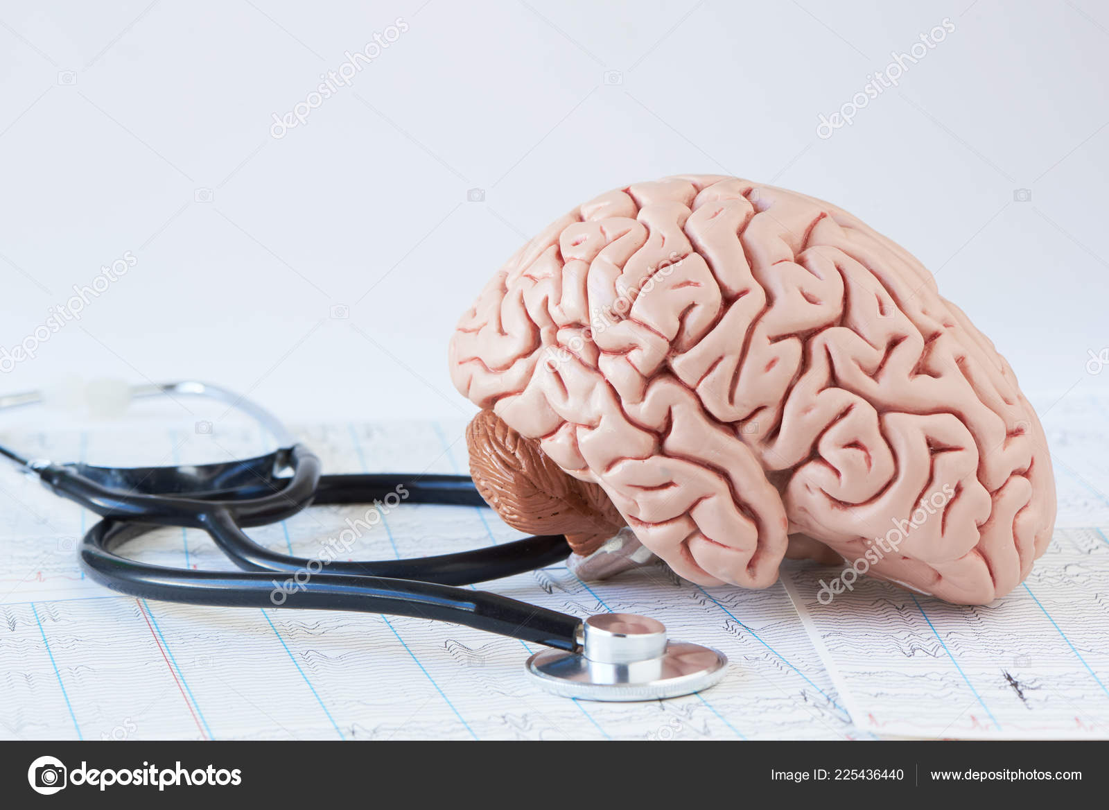 Human Brain Model Black Stethoscope Background Brain Waves ...