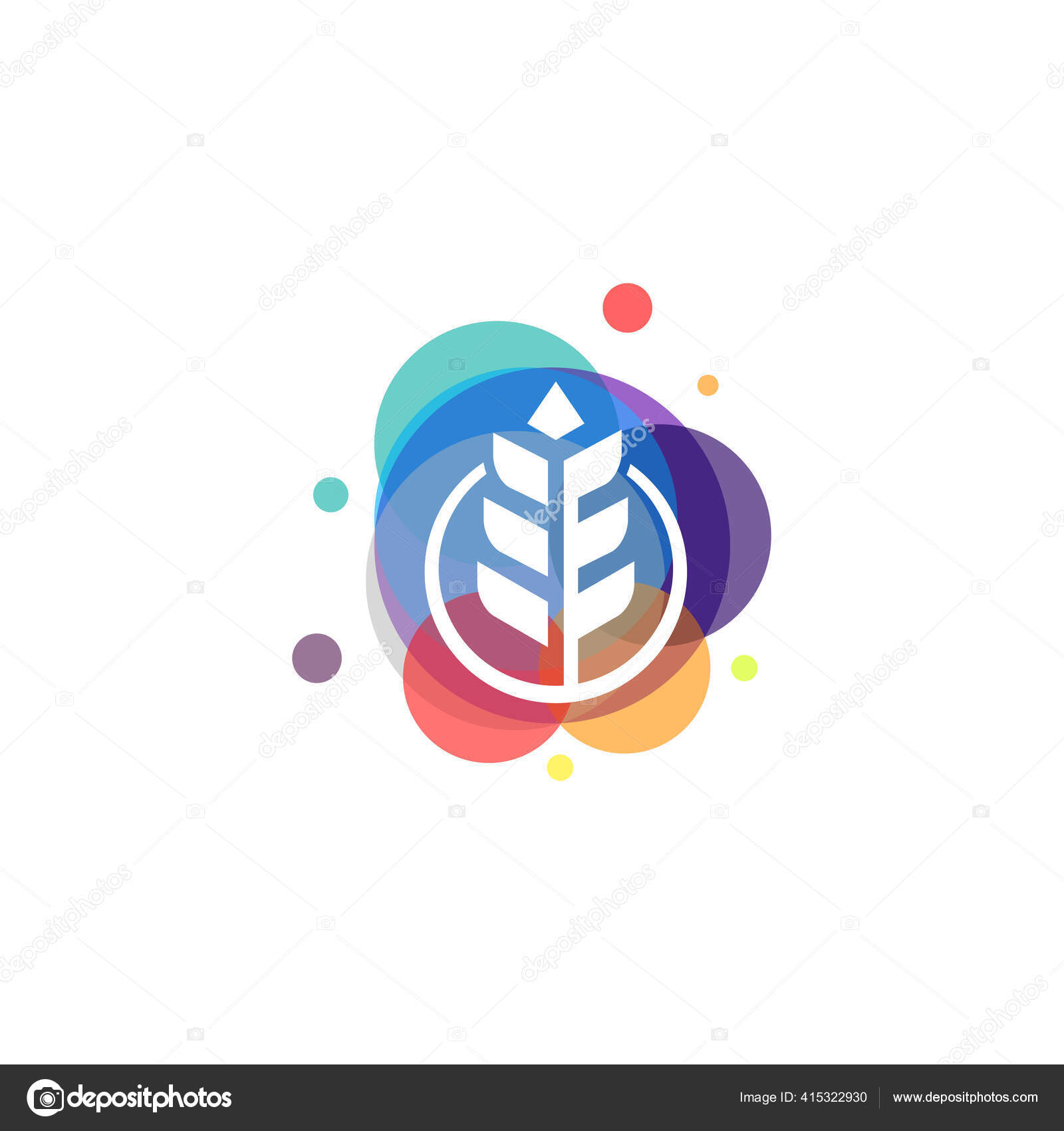 Colorful Wheat Logo Vector Grain Logo Designs Template Design Concept ...