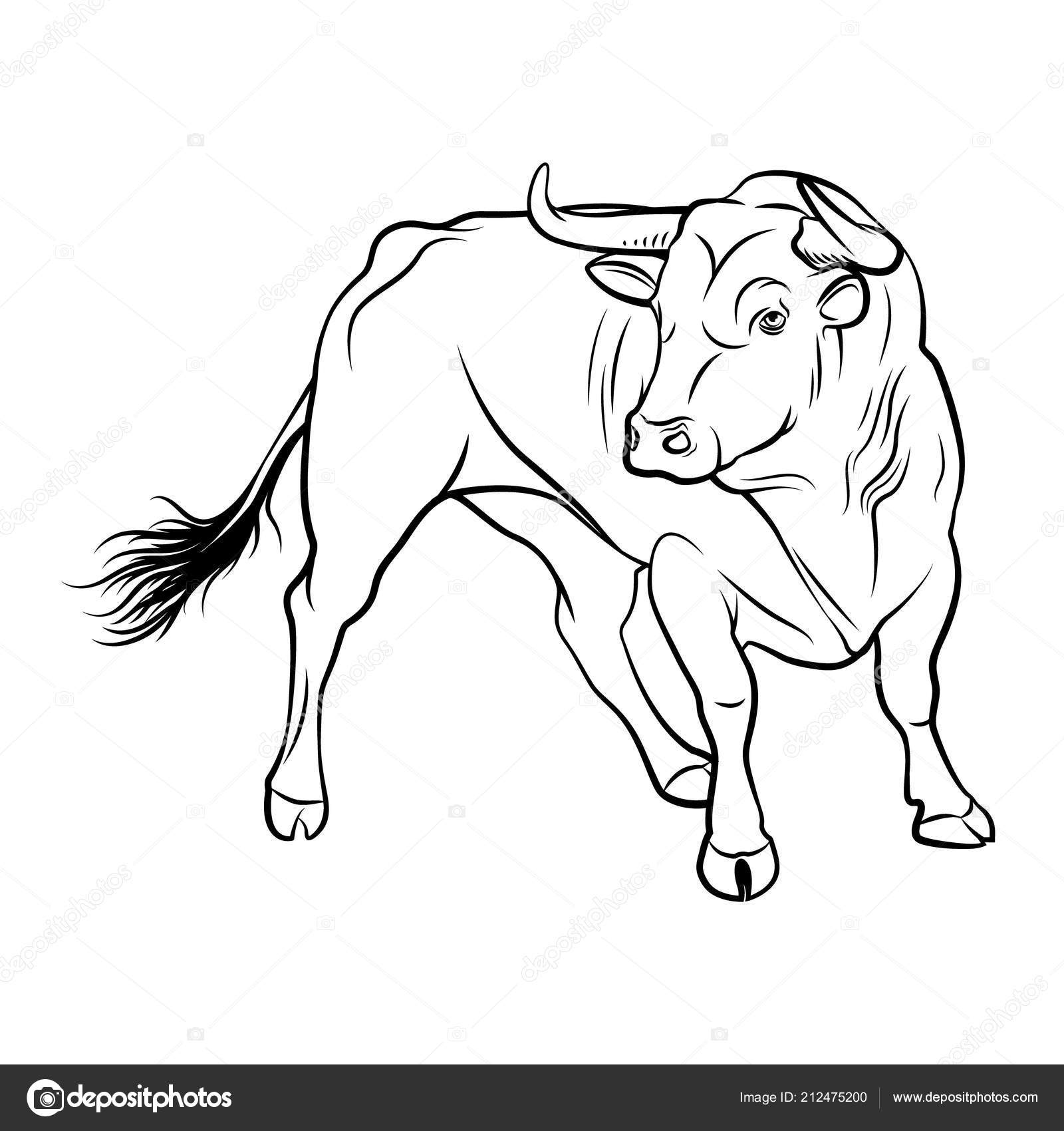 Bull Outline