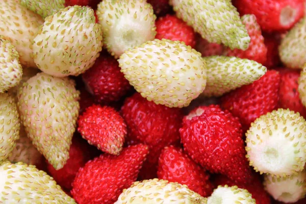 Hula berry Pictures, Hula berry Stock Photos & Images | Depositphotos®