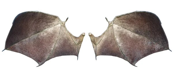 Bat Wings Side View