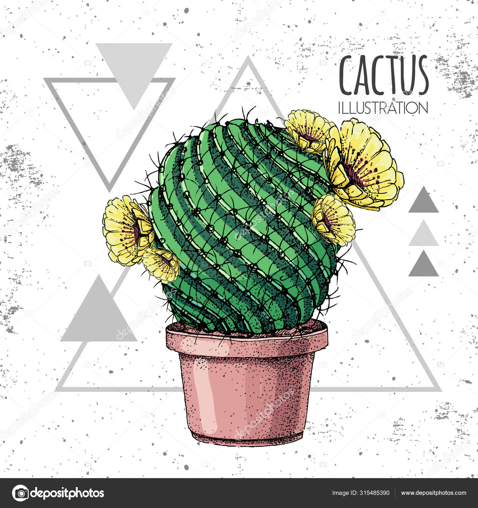 Hand drawing cactus vector illustration on grunge triangle background ...