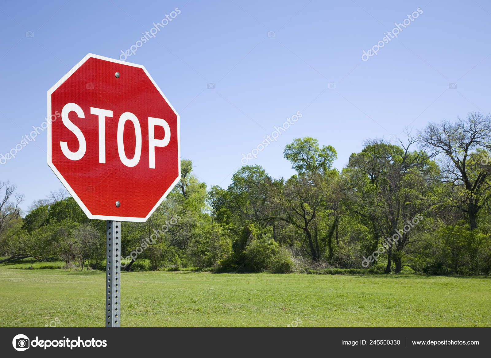 Stop Sign Green Trees Field — Stock Photo © d.allanakins@yahoo.com ...