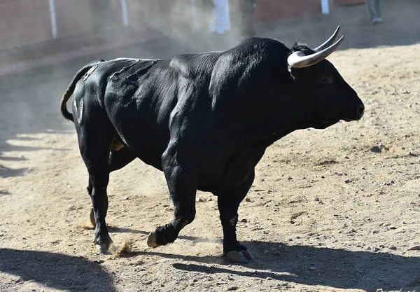 Bull profile Stock Photos, Royalty Free Bull profile Images | Depositphotos