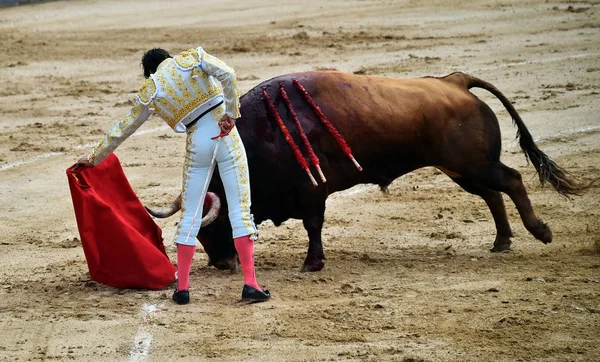 Torero mexico Stock Photos, Royalty Free Torero mexico Images ...