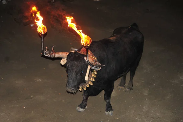 Sacrificial bull Stock Photos, Royalty Free Sacrificial bull Images ...