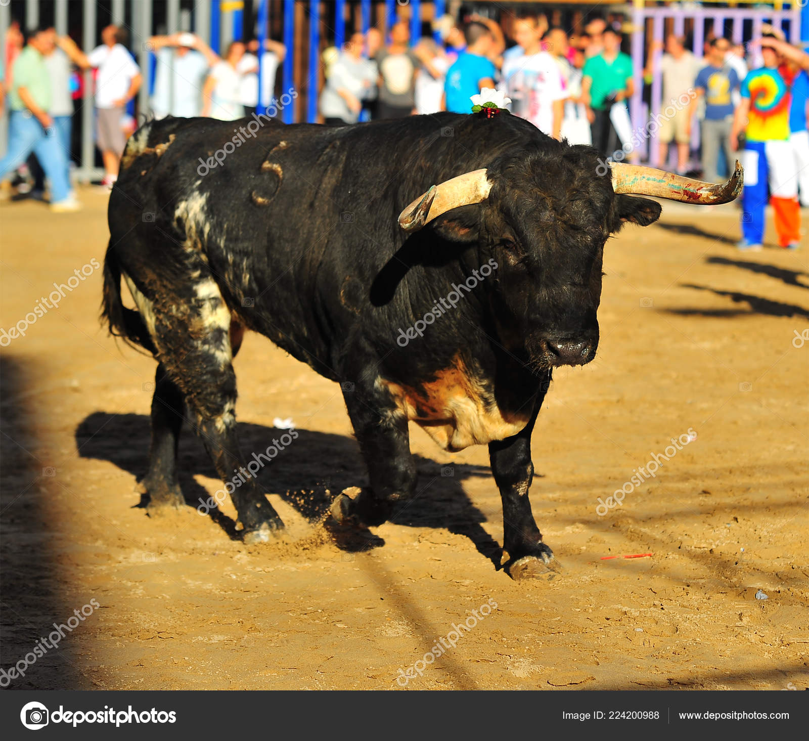 Spanish Bull Bullring — Stock Photo © albertoclemares.hotmail.com ...