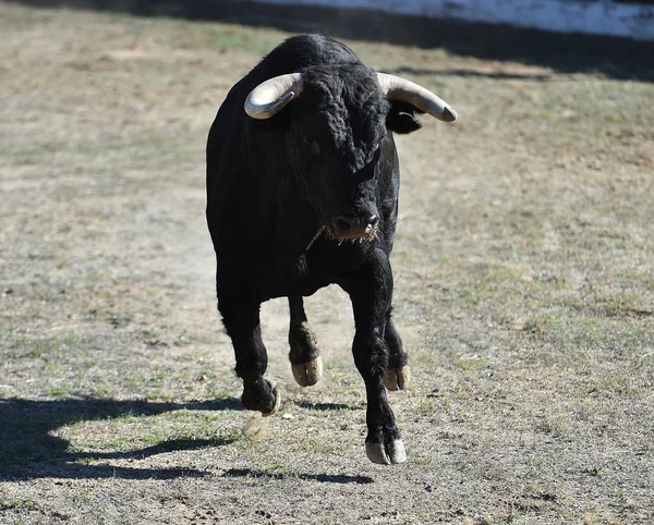 A bum steer Stock Photos, Royalty Free A bum steer Images | Depositphotos