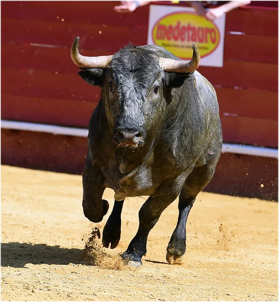 Testicoli di toro Stock Photos, Royalty Free Testicoli di toro Images ...