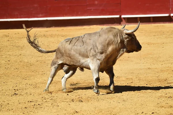 El raton vaquero Stock Photos, Royalty Free El raton vaquero Images ...