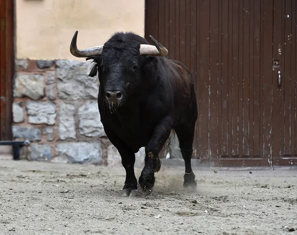 Petit buffalo Stock Photos, Royalty Free Petit buffalo Images ...