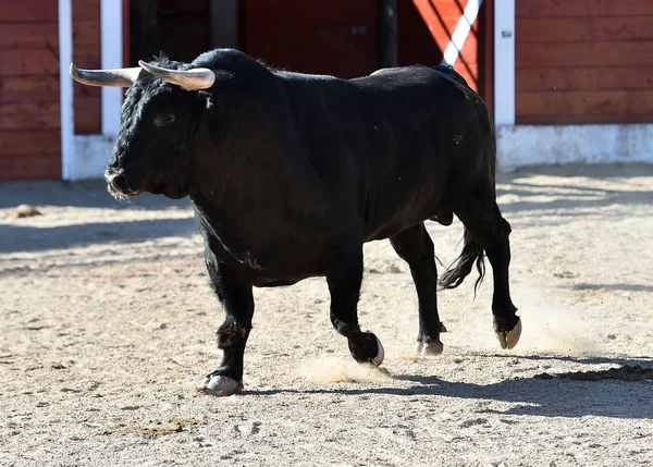 Nordic bull Stock Photos, Royalty Free Nordic bull Images | Depositphotos