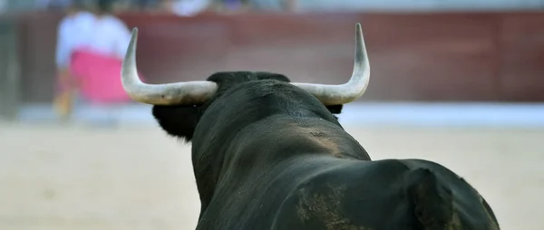 Bull profile Stock Photos, Royalty Free Bull profile Images | Depositphotos