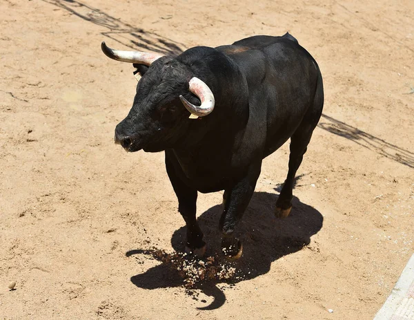 Sacrificial bull Stock Photos, Royalty Free Sacrificial bull Images ...