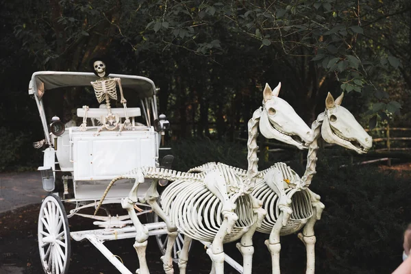 Fotos de Skeleton rides, Imagens de Skeleton rides sem royalties ...