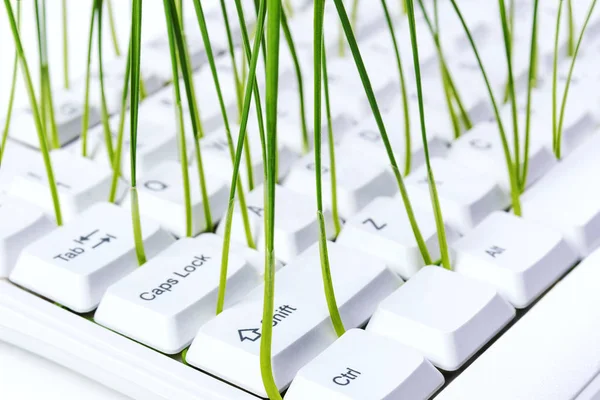 Green written in keyboard keys on grass Stock Photo by ©SSilver 10843411