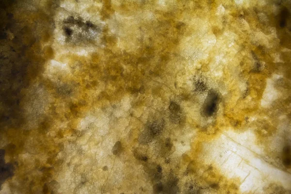 Transparent Marble Texture Close Backlit Onyx Slab Surface Natural ...