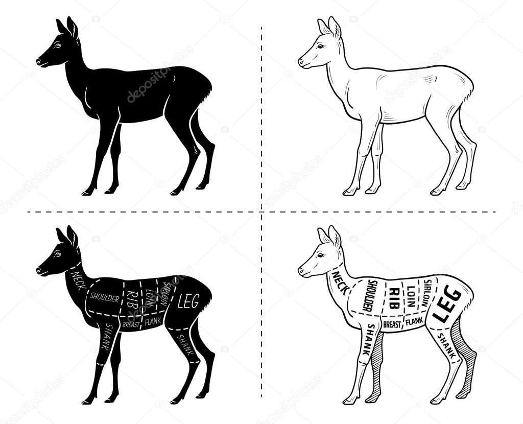 Corte de corzo de ciervo. Cartel Carnicero diagrama - huevas. Tipograf ...