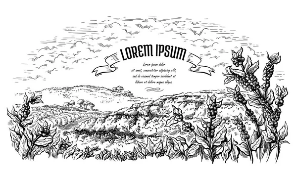 791 Coffee field Vector Images | Depositphotos