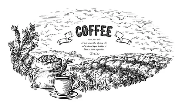 791 Coffee field Vector Images | Depositphotos