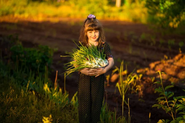 Bountiful girl Stock Photos, Royalty Free Bountiful girl Images ...