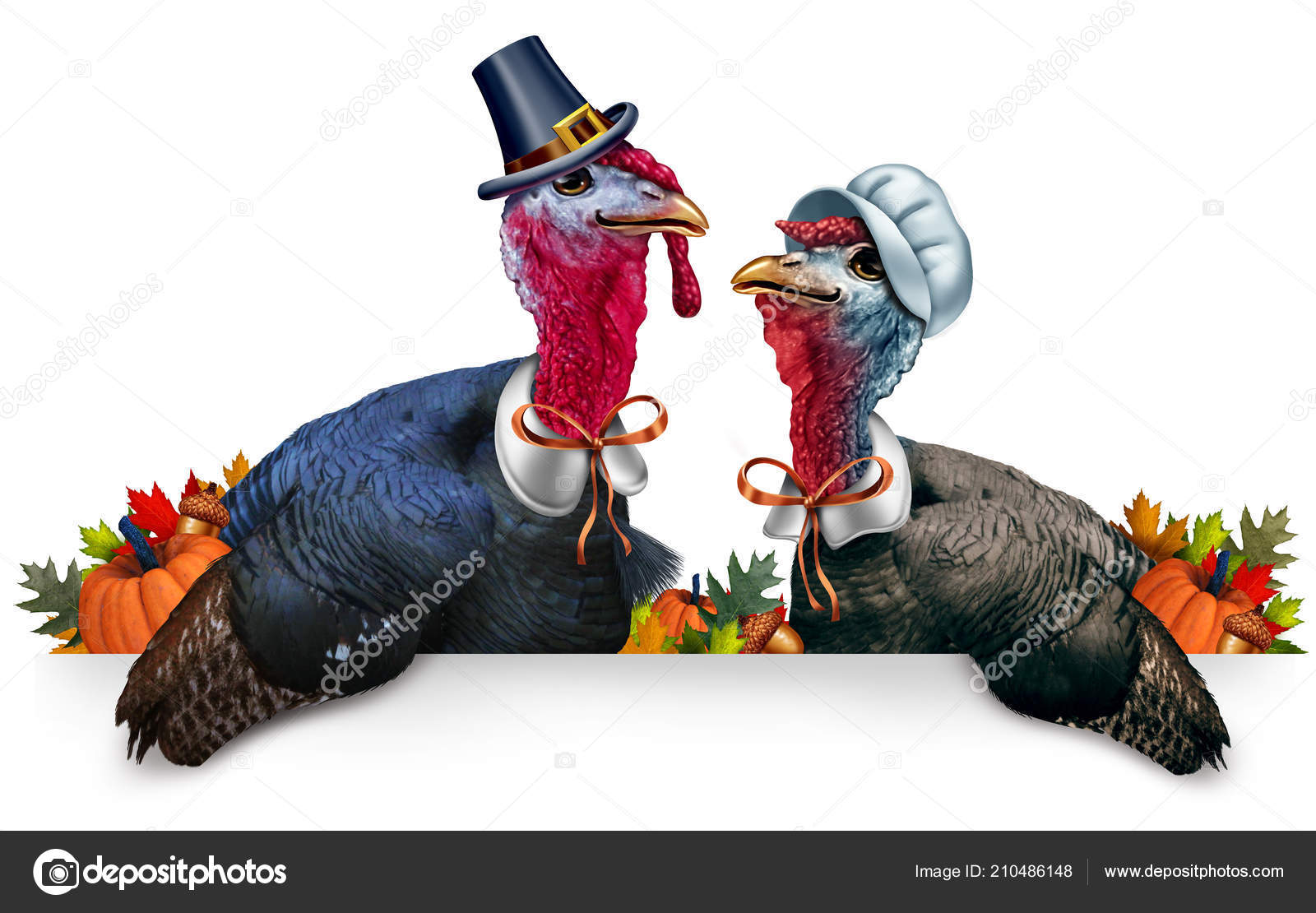 Thanksgiving Turkey Banner