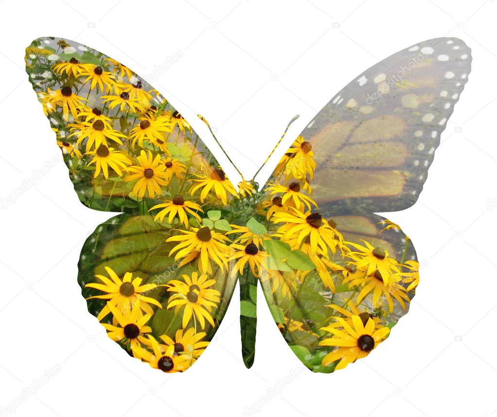 S mbolo de ecolog a e icono de conservaci n ambiental como campo de flores y lago en forma de ...