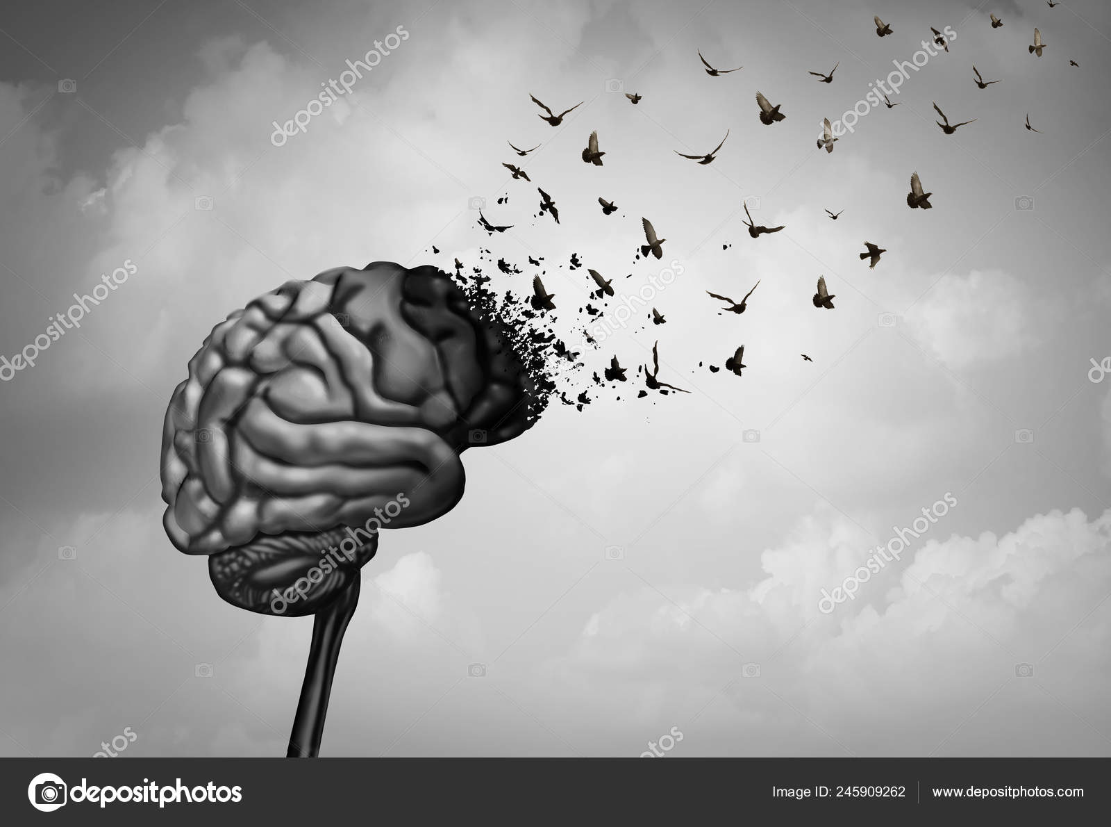 Brain Damage Cerebral Injury Cognitive Function Loss Due Dimentia ...