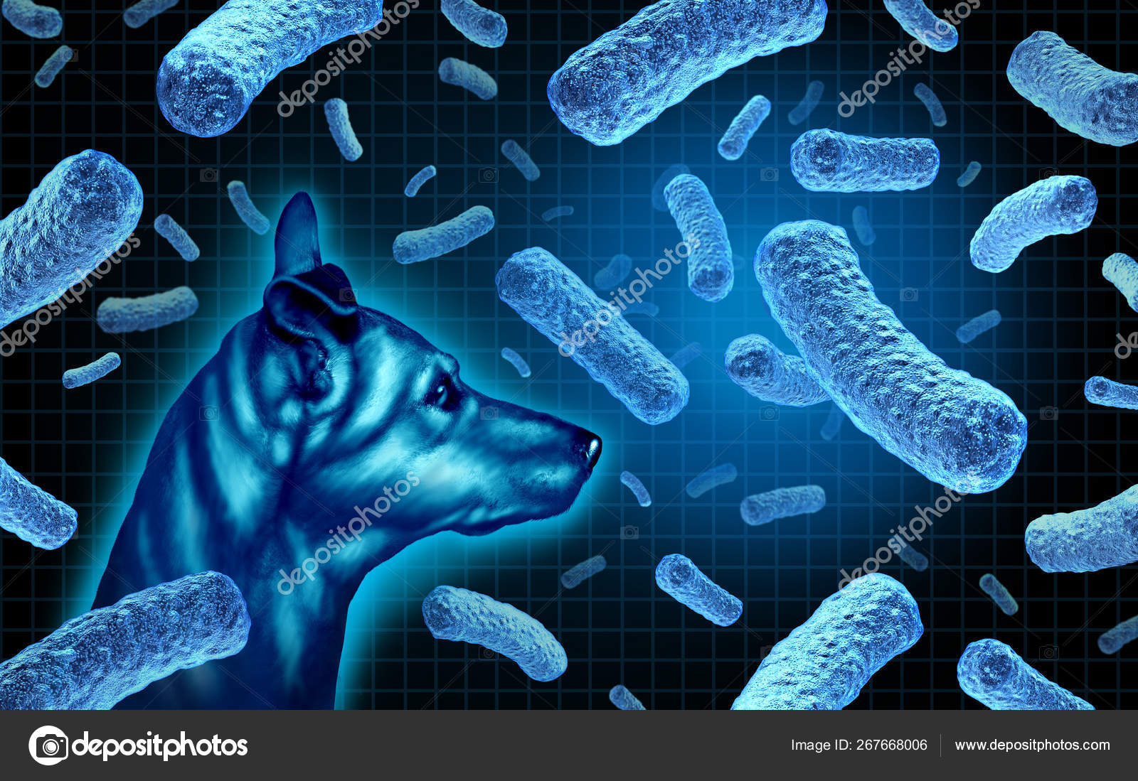 Is E Coli Contagious From Dog To Dog