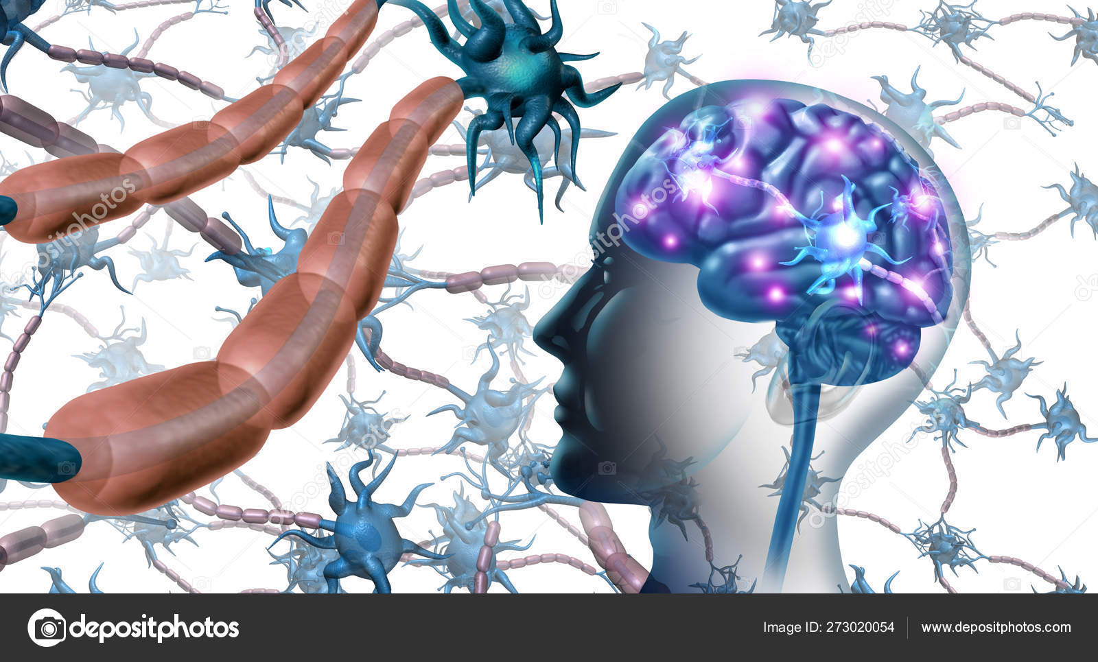 Nerve Cells Inside The Brain ⬇ Stock Photo, Image by © lightsource ...