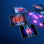 Human Joints Concept Stock Photo by ©lightsource 19543787