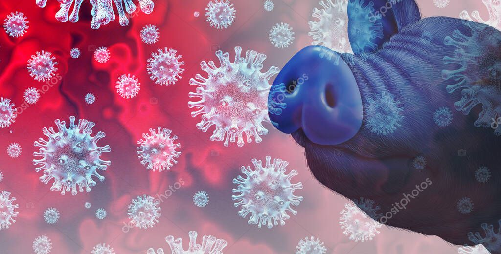 Virus porcino y gripe G4 del ganado infectado como cerdos y cerdos como ...