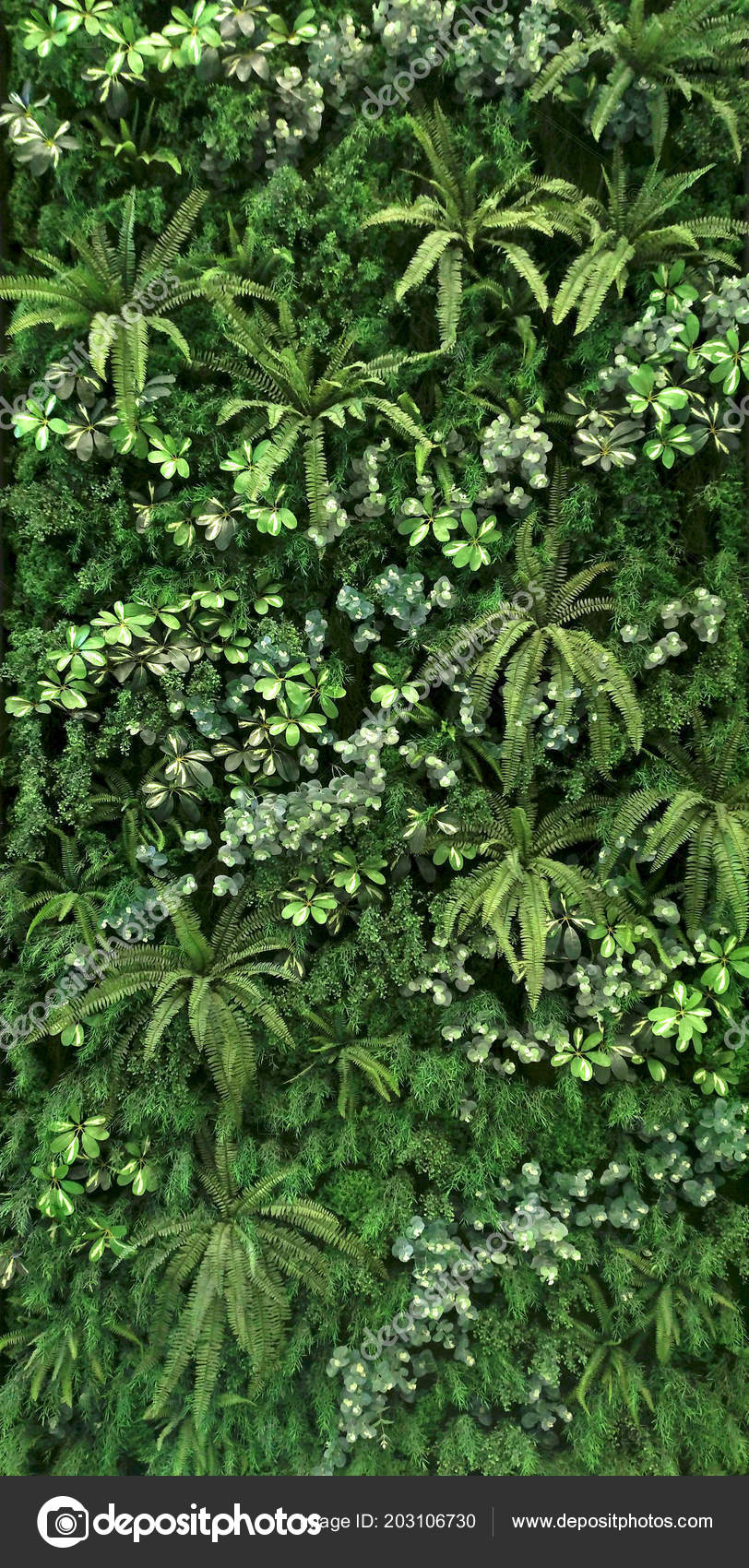 Vertical Garden Tropical Green Leaf Contrast Stock Photo by ©wasanchy ...