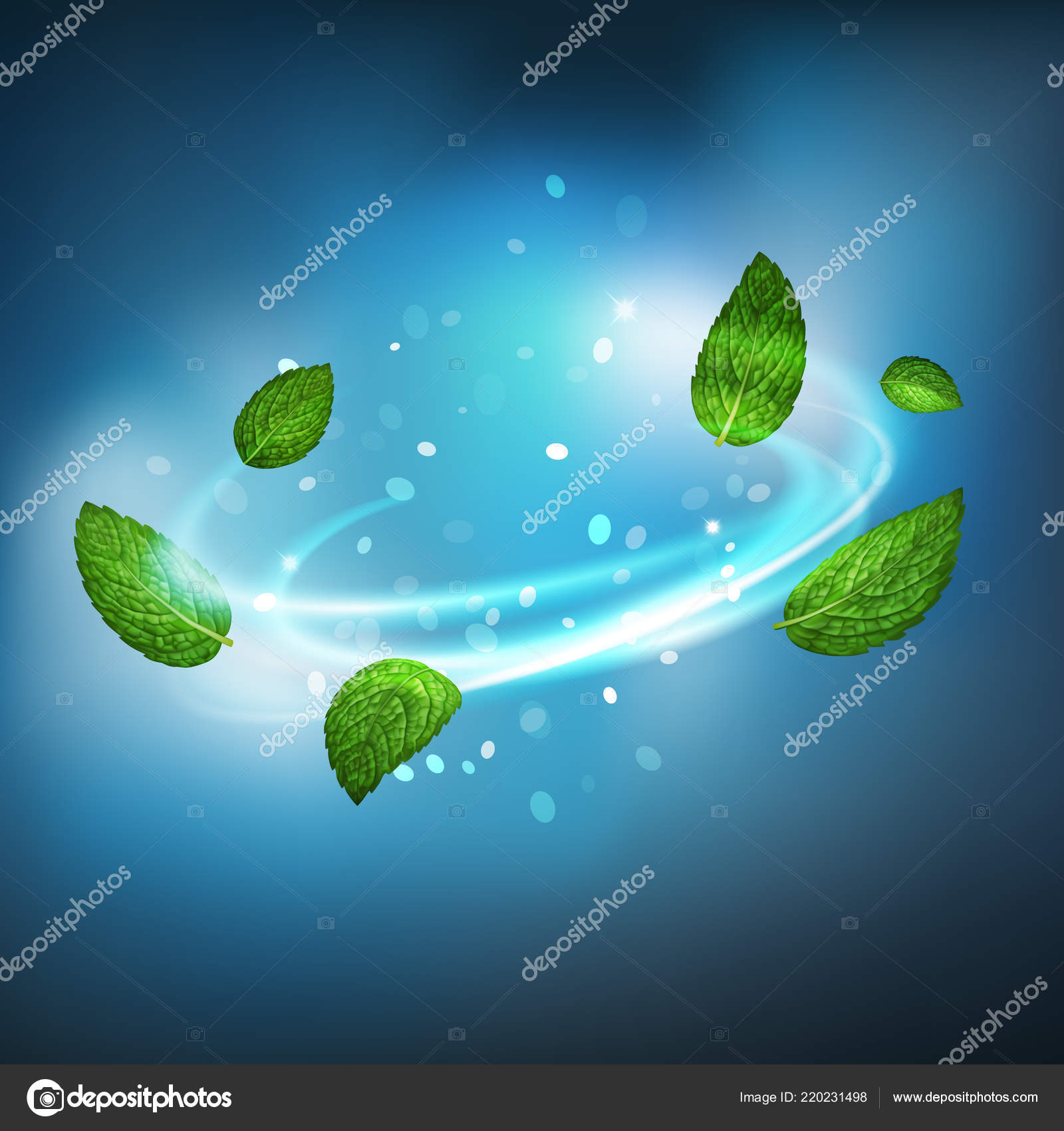 Realistic Isolated Vector Vortex Mint Leaves Stock Vector by ©Good_Job ...