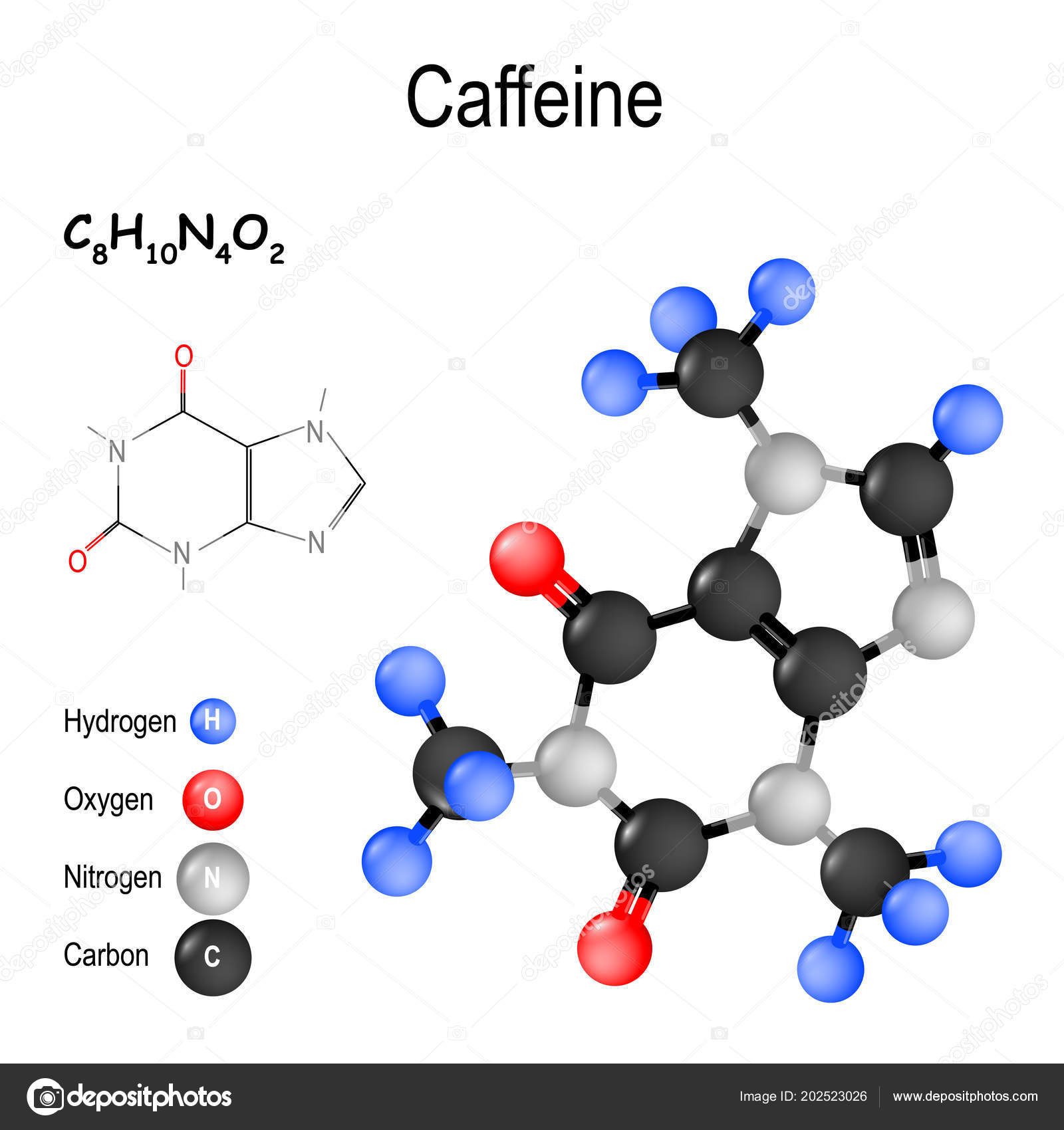Caffeine. Structure of a molecule. Stock Vector Image by ©edesignua #202523026