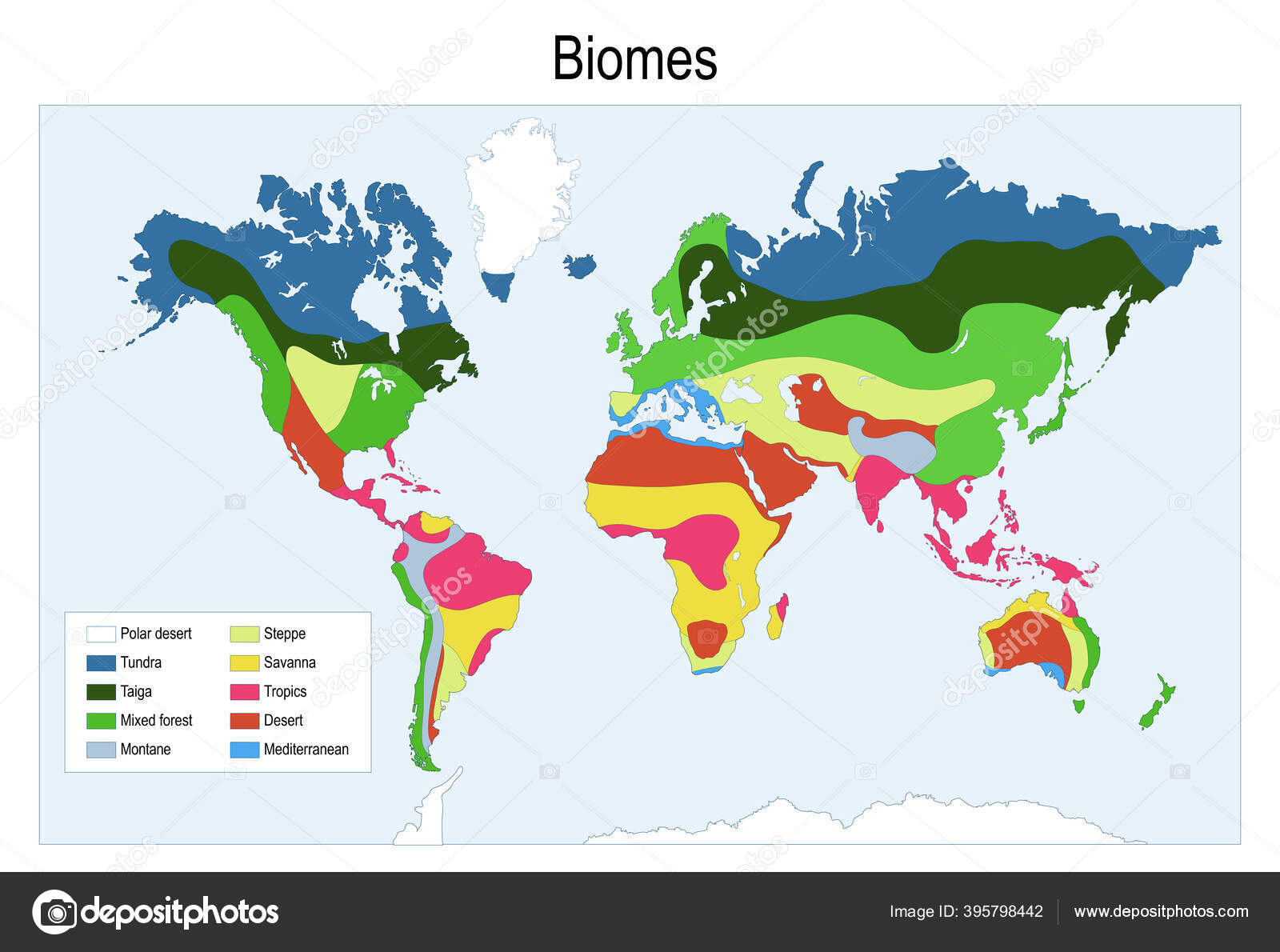 Biomes Color Map Main Biomes World Vector Illustration Stock Vector ...