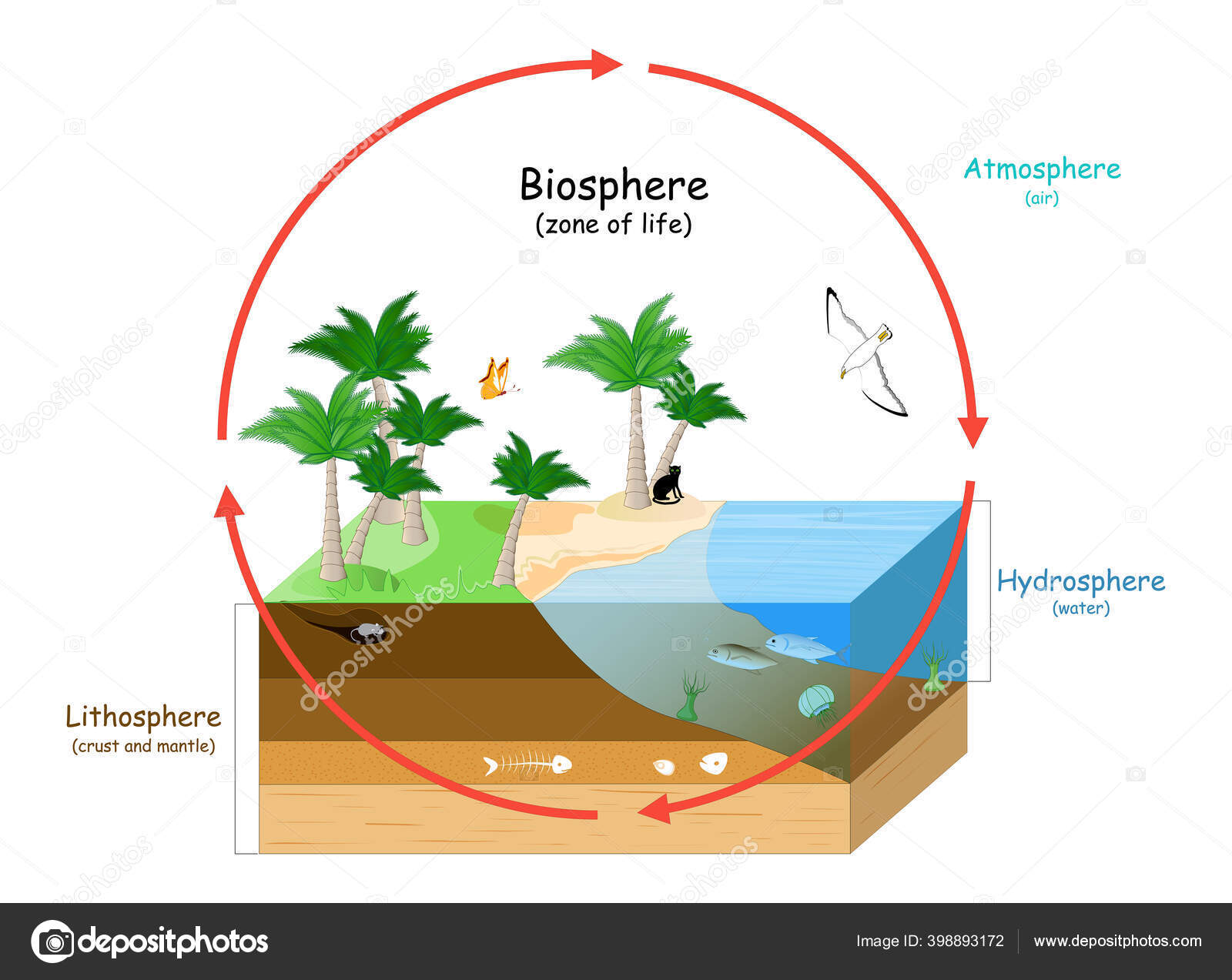 Lithosphere Hydrosphere Atmosphere Biosphere