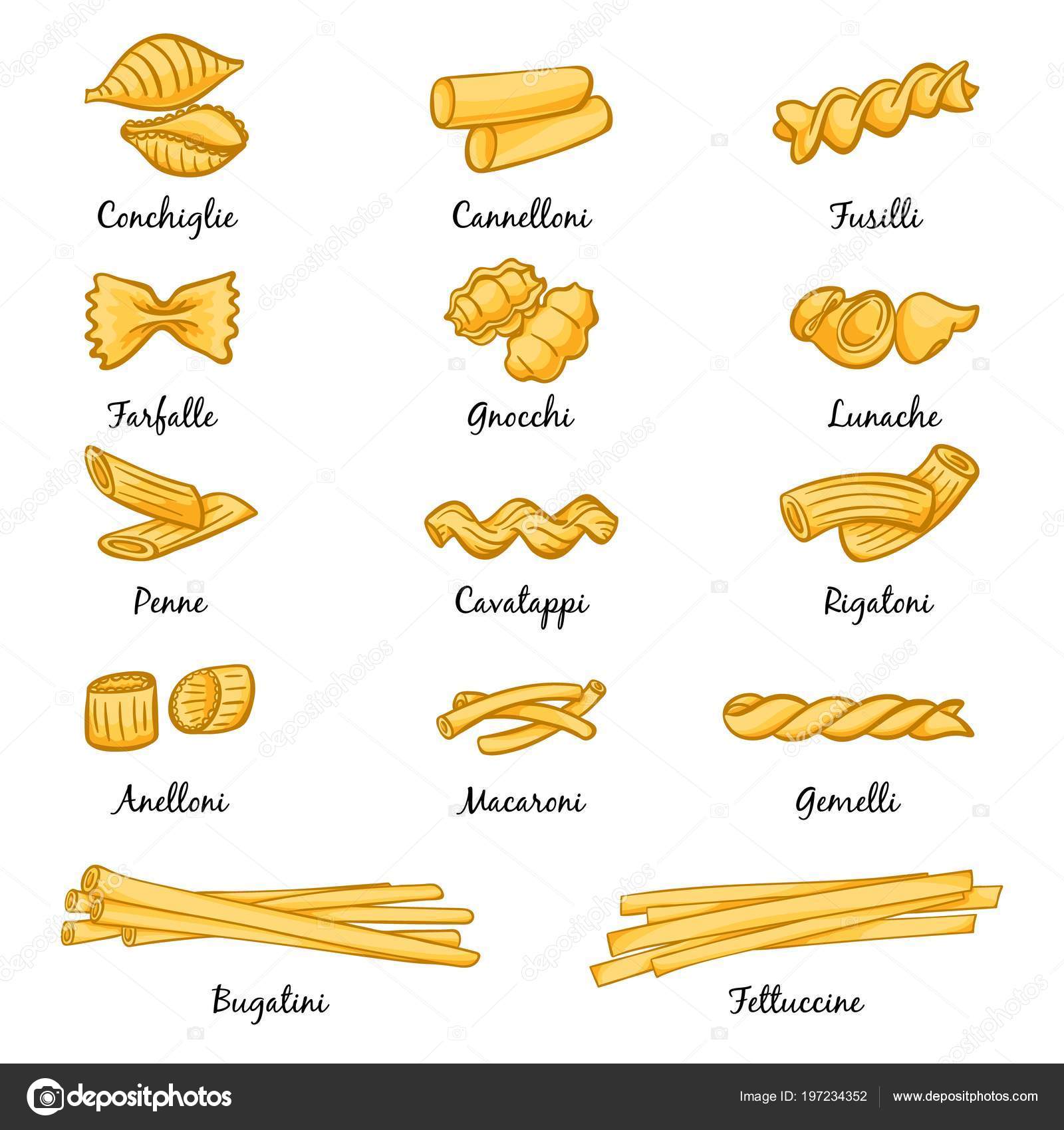 Soorten Pasta Verschillende soorten pasta met olie, champignons en ...