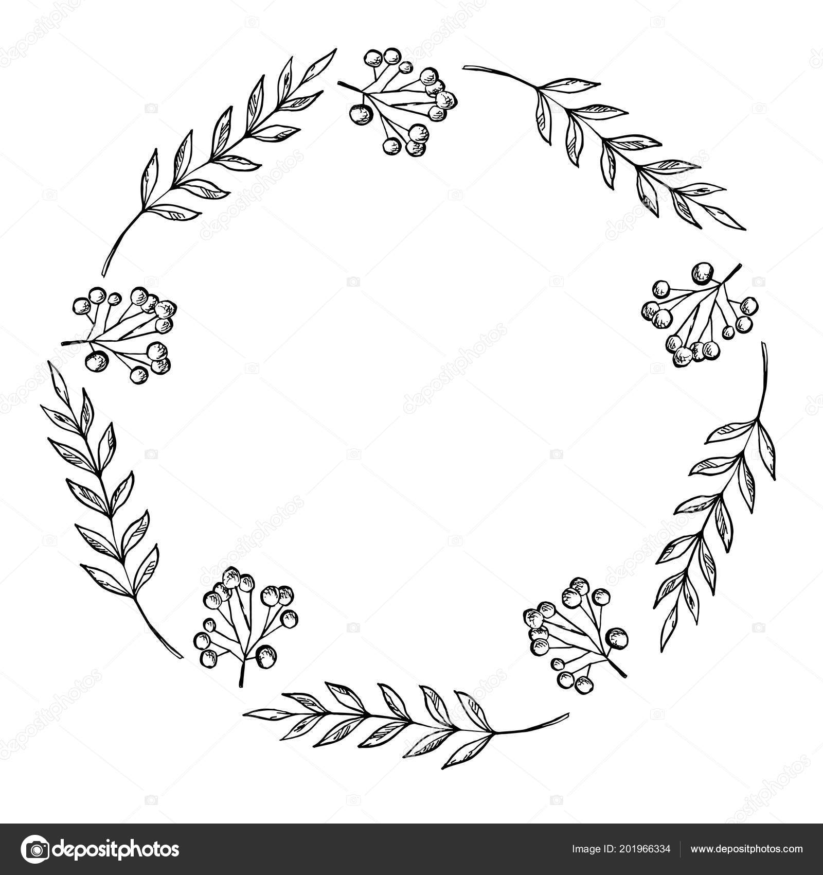 Doodle Monochrome Berry Dan Daun Lingkaran Bingkai Pada Latar Belakang ...