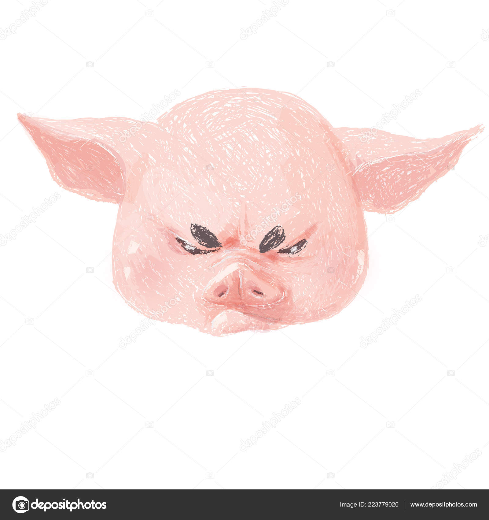 Angry Pig Face Drawing